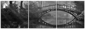 Obraz na plátně - Starý most - panoráma 5139QB (90x30 cm)