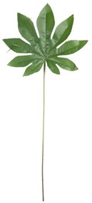Okrasný list Papaya - 8*1*10 cm