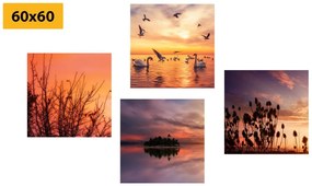 Set obrazů příroda v romantickém provedení Varianta: 4x 40x40