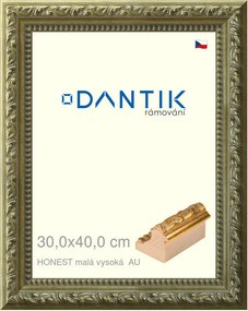DANTIK rámeček 30x40 | HONEST malá vysoká AU (Plexi Čiré)