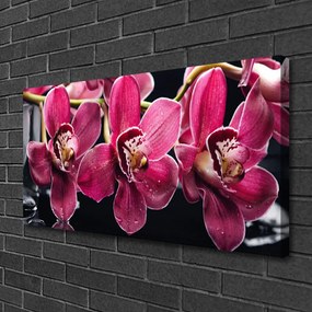 Obraz na plátně Květiny Orchideje  Výhonky Příroda 125x50 cm