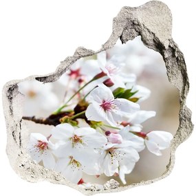 Wallmuralia Samolepící nálepka na zeď Květy višně 75x75 cm