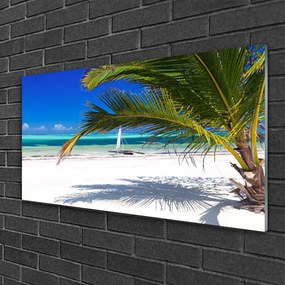 Obraz na skle Pláž Palma Krajina 120x60 cm