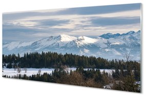 akrylový obraz horské zimní 120x60 cm