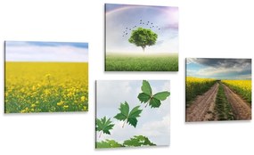 Set obrazů oslnivá příroda - 4x 40x40 cm