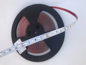 HI-PROFI LED pásek 9,6W/m, 12V, 167-178lm/W, IP20, 80LED/m Barva světla: Studená bílá, 6500K