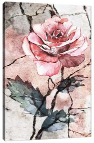 Nástěnný obraz na plátně Tablo Center Rose, 40 x 60 cm