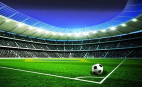 Postershop Fototapeta: Fotbalový stadion (5) - 184x254 cm
