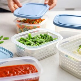 TESCOMA Dóza do mrazničky s košíkem 4FOOD 1,0 l