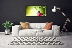Obraz na plátně Bambus Květ Kameny Zen 100x50 cm