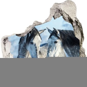 Wallmuralia Díra 3D fototapeta nálepka Šedí koně zima 75x75 cm