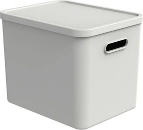 Rotho Úložný box, rovný s víkem, 27l, matně bílá ALBU LIGHT, 37x29x30