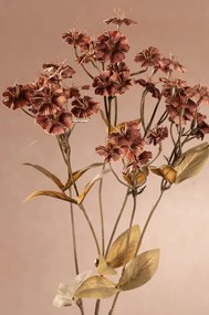 Paramit DRY DIANTHUS Aranžovací květina hnědá 65 cm