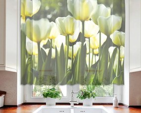 Fotozáclona White Tulips VO-140-012 | 140 x 120 cm