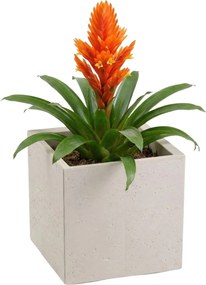 Sada 2 ks květináčů BETONIQUE 30x30/30x60 cm - výběr z 4 provedení