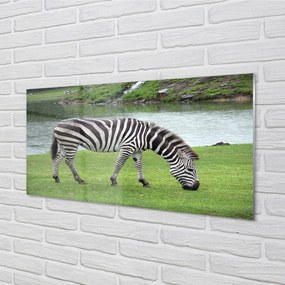 akrylový obraz zebra 140x70 cm