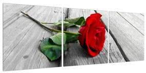 Obraz růže (120x40 cm)