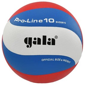 Volejbalový míč GALA Pro Line 10 - BV 5581 S