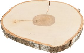 ČistéDřevo Dřevěná podložka z kmene břízy 33-38 cm
