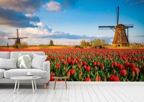 Malvis ® Tapeta Větrné mlýny s tulipány Vel. (šířka x výška): 216 x 140 cm