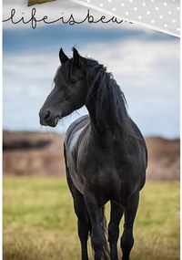 Tip Trade dětské povlečení ČERNÝ MUSTANG, fototisk, bavlna hladká, 140x200cm + 70x90cm