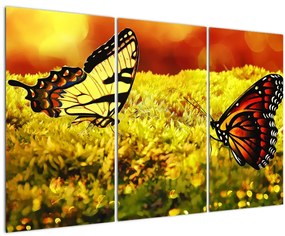 Obraz motýlů (120x80 cm), 40 dalších rozměrů
