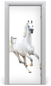Samolepící fototapeta na dveře Bílý kůň ve cvalu 75x205 cm