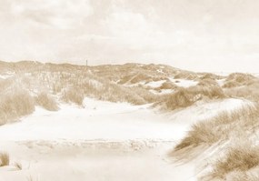 Fototapeta Dune Paradise Faded Vintage In Sepia Samolepící tapety 416x290