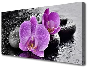 Obraz na plátně Orchidej Květiny Kameny Zen 100x50 cm
