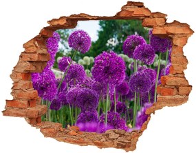 Wallmuralia Nálepka 3D díra samolepící Květy česneku 90x70 cm
