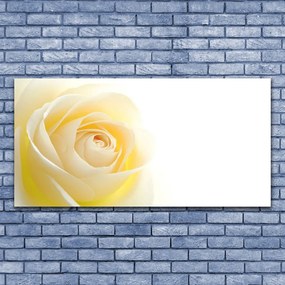 Obraz na plátně Růže Květ Rostlina 125x50 cm