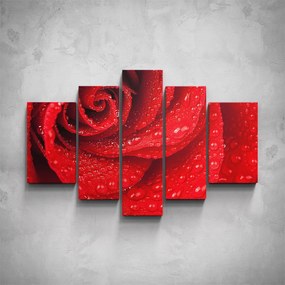 5-dílný obraz - Růže detail - PopyDesign