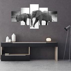 Obraz slonů (125x70 cm)