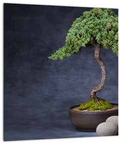 Obraz - Bonsai (30x30 cm)