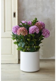 Umělá hortenzie HYDRANGEA v bílém květináči, výška 90 cm, růžová