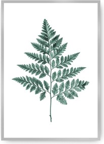 Plakát Fern Emerald Green
