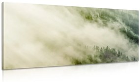 Obraz mlhavý les - 120x60 cm