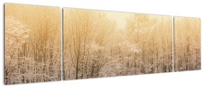 Obraz mrazivého lesa (170x50 cm)