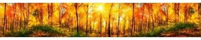 DIMEX | Fototapeta do kuchyně Slunečný les KI-350-084 | 350 x 60 cm | zelená, žlutá, oranžová