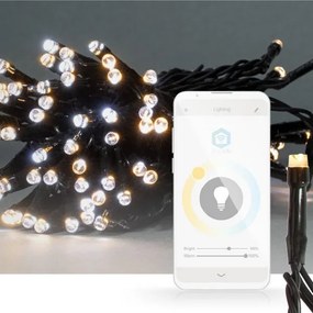 Nedis WIFILX02W50 - LED Vánoční řetěz 50xLED/8 funkcí 5m IP65 Wi-Fi Tuya