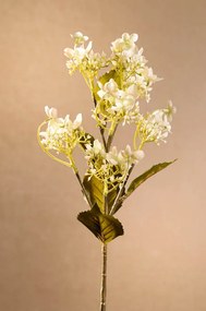 Paramit DRY WILD HYDRANGEA Aranžovací květina bílá 62 cm