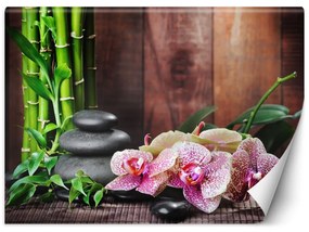 Fototapeta, Orchidej s bambusem - 250x175 cm