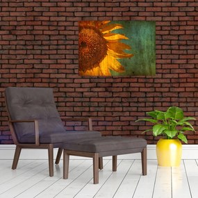 Skleněný obraz - Slunečnice (70x50 cm)