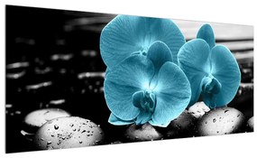 Obraz modrých květů orchideje (100x40 cm)