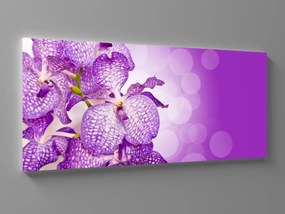 Obraz fialová orchidej Rozměr: 120 x 55 cm