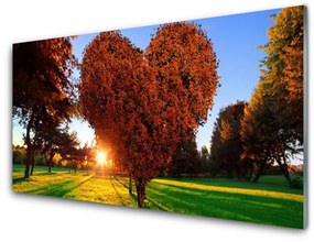 Plexisklo-obraz Strom Srdce Přírdoa 140x70 cm