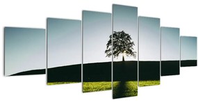 Obraz přírody - strom (210x100 cm)