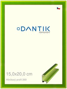 DANTIK rámeček 15x20 | ALU profil 7269 Zelená Smaragd broušená (Sklo Čiré)