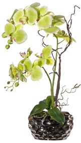 Gasper Umělá květina Orchidej v oválné váze, zelená, 55 cm