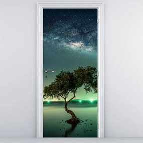 Fototapeta na dveře - Noční nebe (95x205cm)